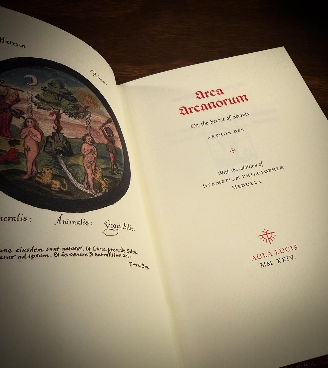 Arca Arcanorum by Arthur Dee – The Rose Books & Obscurities